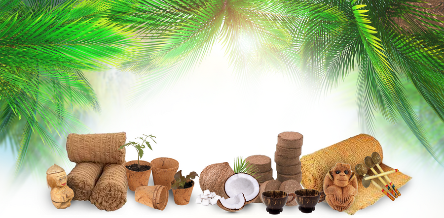 Coco Craft